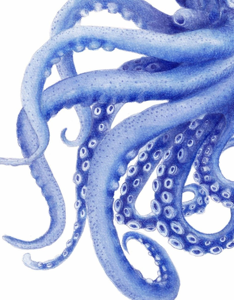 blue octopus drawing